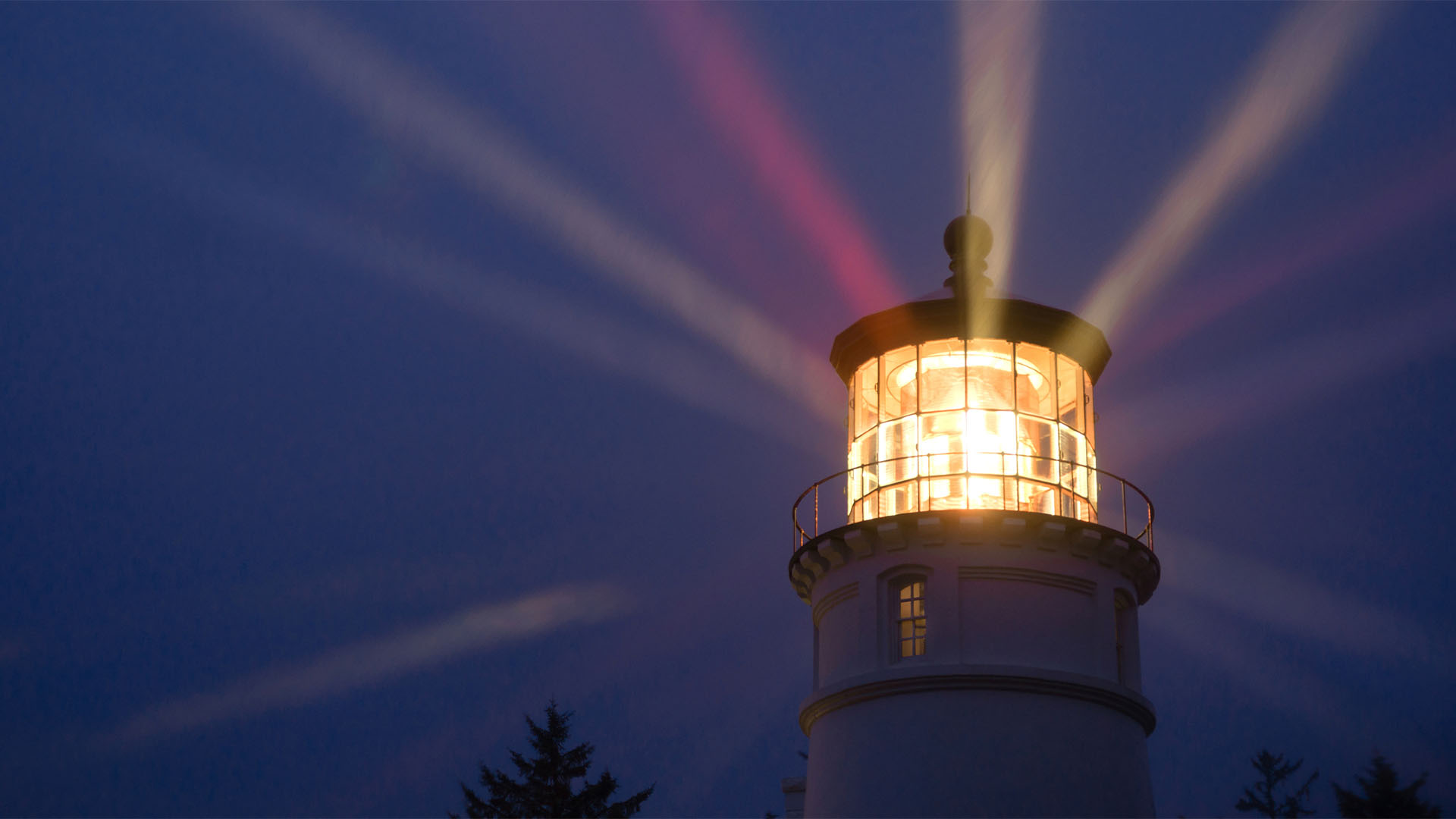 Executive Search Services - Sheffield Haworth